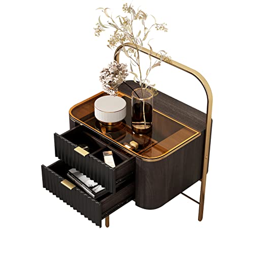 Lartis Premium nightstand, Stylish Design, 2 Drawers,Very Easy to Assembly, End Table Bedside Table,Stainless Steel Gold Plated feet(Elegant Black)