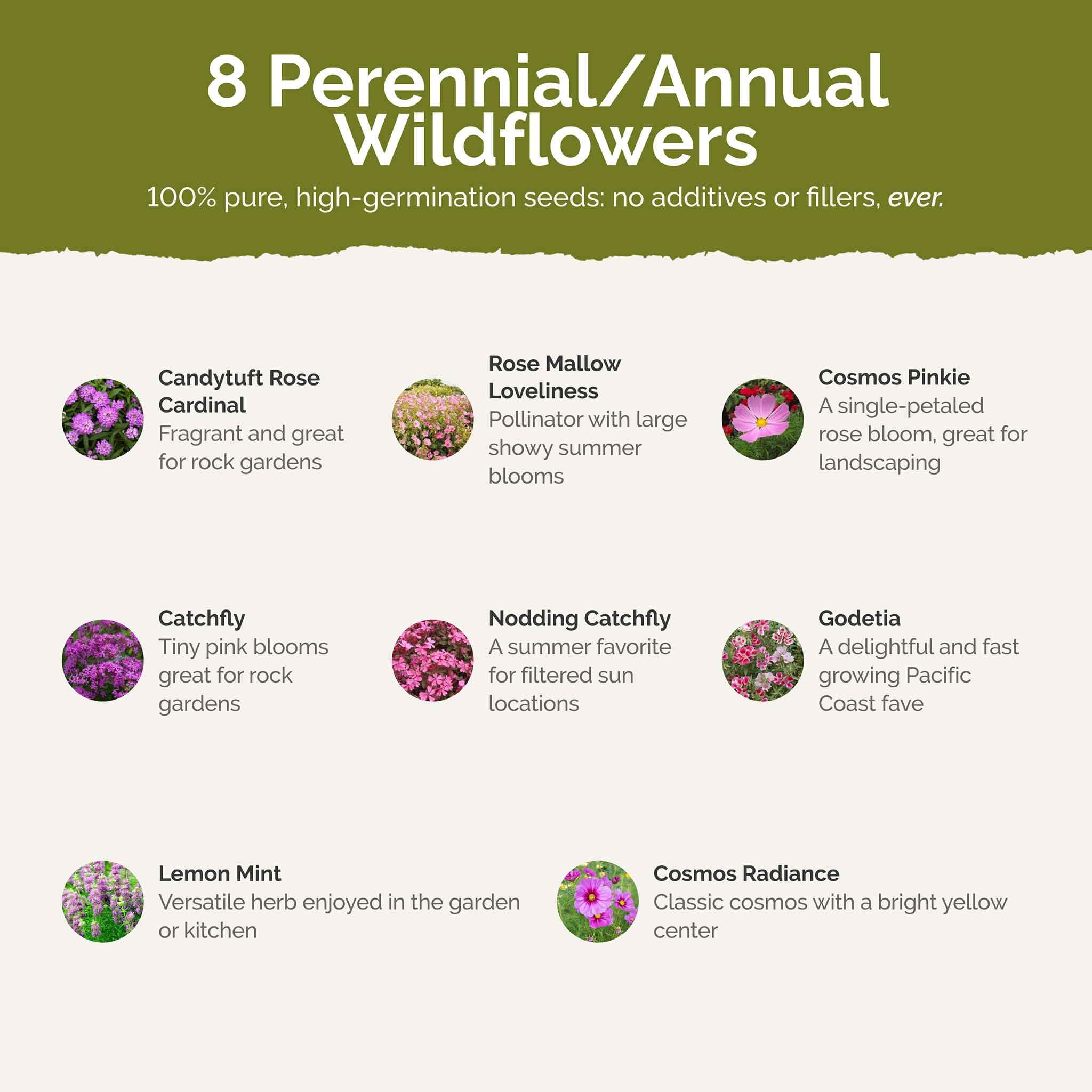 Eden Brothers Pretty in Pink Wildflower Mixed Seeds for Planting, 1/4 lb, 120,000+ Seeds with Candytuft, Rose Mallow | Attracts Pollinators, Plant in Spring or Fall, Zones 3, 4, 5, 6, 7, 8, 9, 10