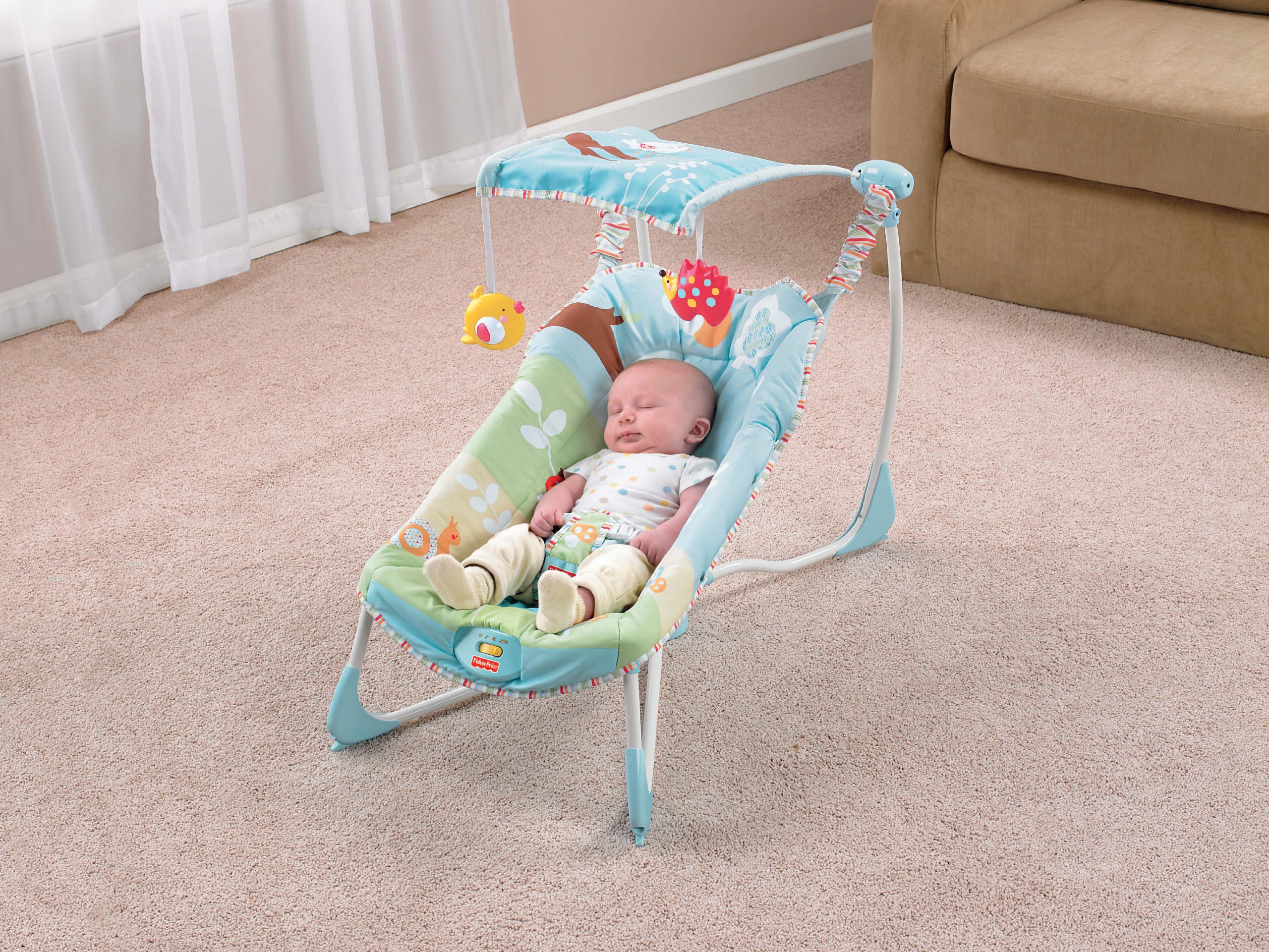 Fisher-Price Soothe & Go Bouncy Seat