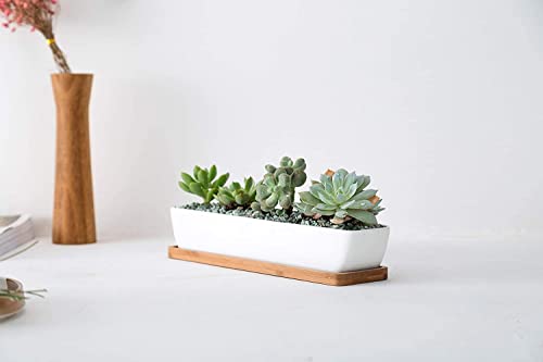 Kipokalor Succulent Planter Pot,2 Set 11.1x2.36x1.77inch Long Rectangular Modern Minimalist White Ceramic with Saucer for Office,Desk,Window.