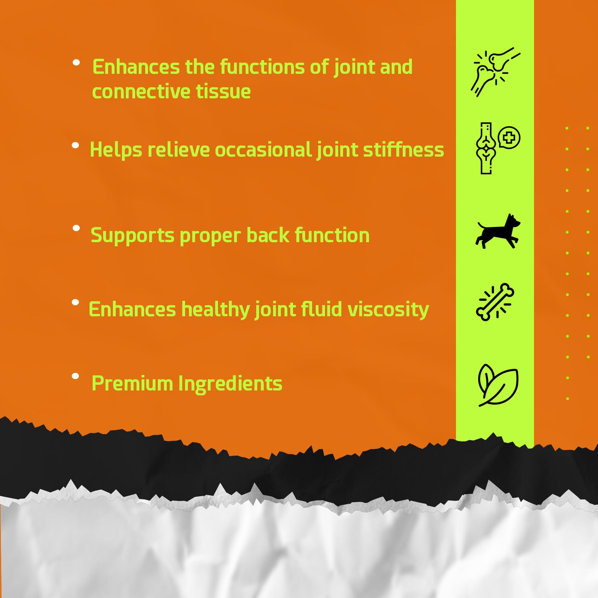 PointPet Advanced Glucosamine Hip and Joint Supplement for Dogs, 90 Count - Soft Chews - Dog Joint Health Chews - Chews with Chondroitin Turmeric, Omega 3
