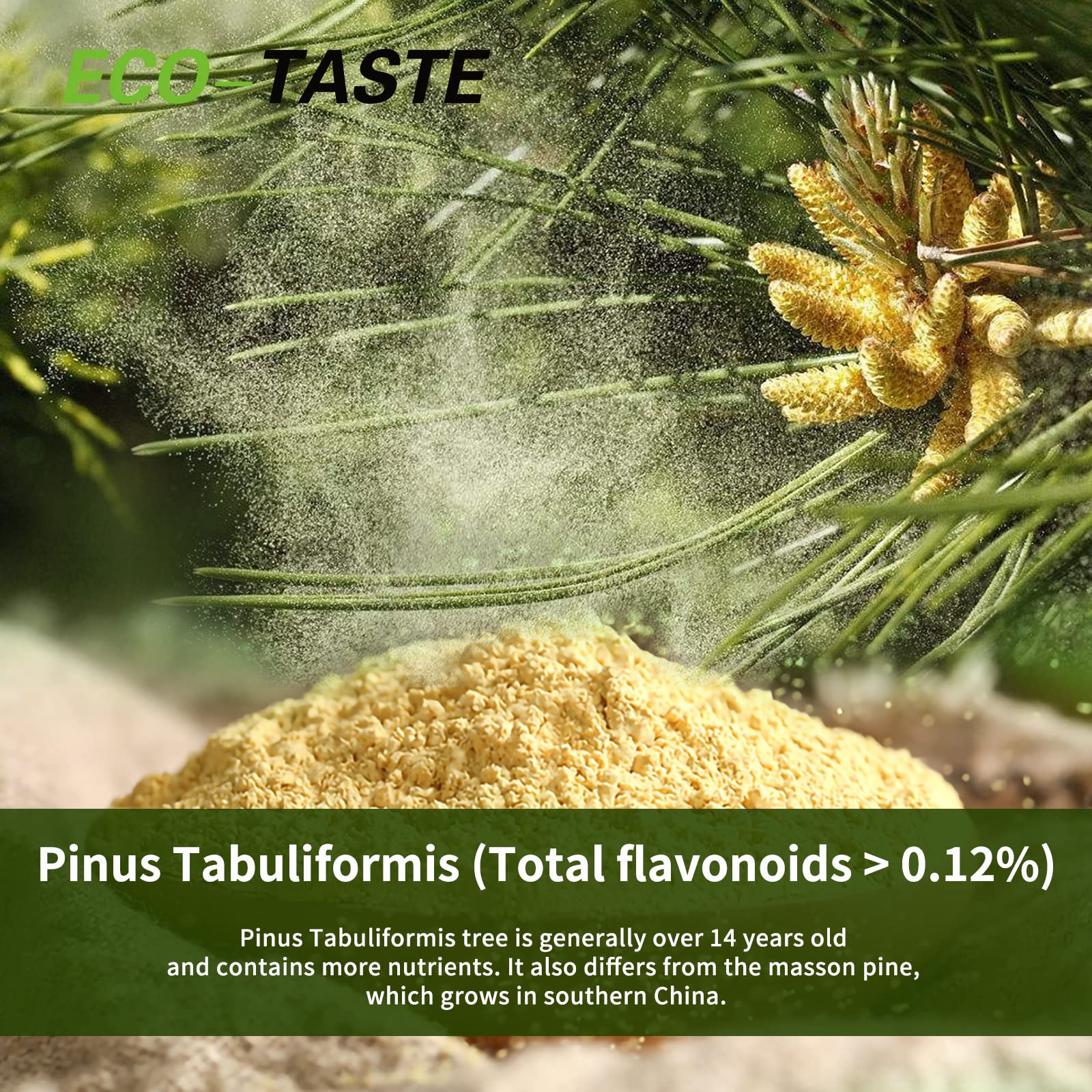 ECO-TASTE Pine Pollen Powder 6 Ounce, Wild Harvested - Pinus Tabuliformis, 99% Cracked Cell Wall