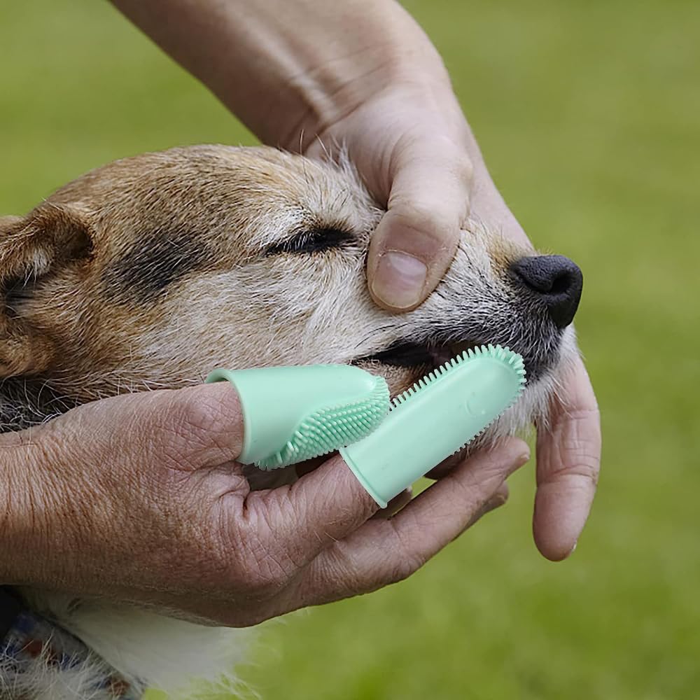 Scrit Dog Finger Toothbrush, 6 Pack Cat Toothbrushes, Two Finger Toothbrush for Pet's Dental Care Teeth Cleaning