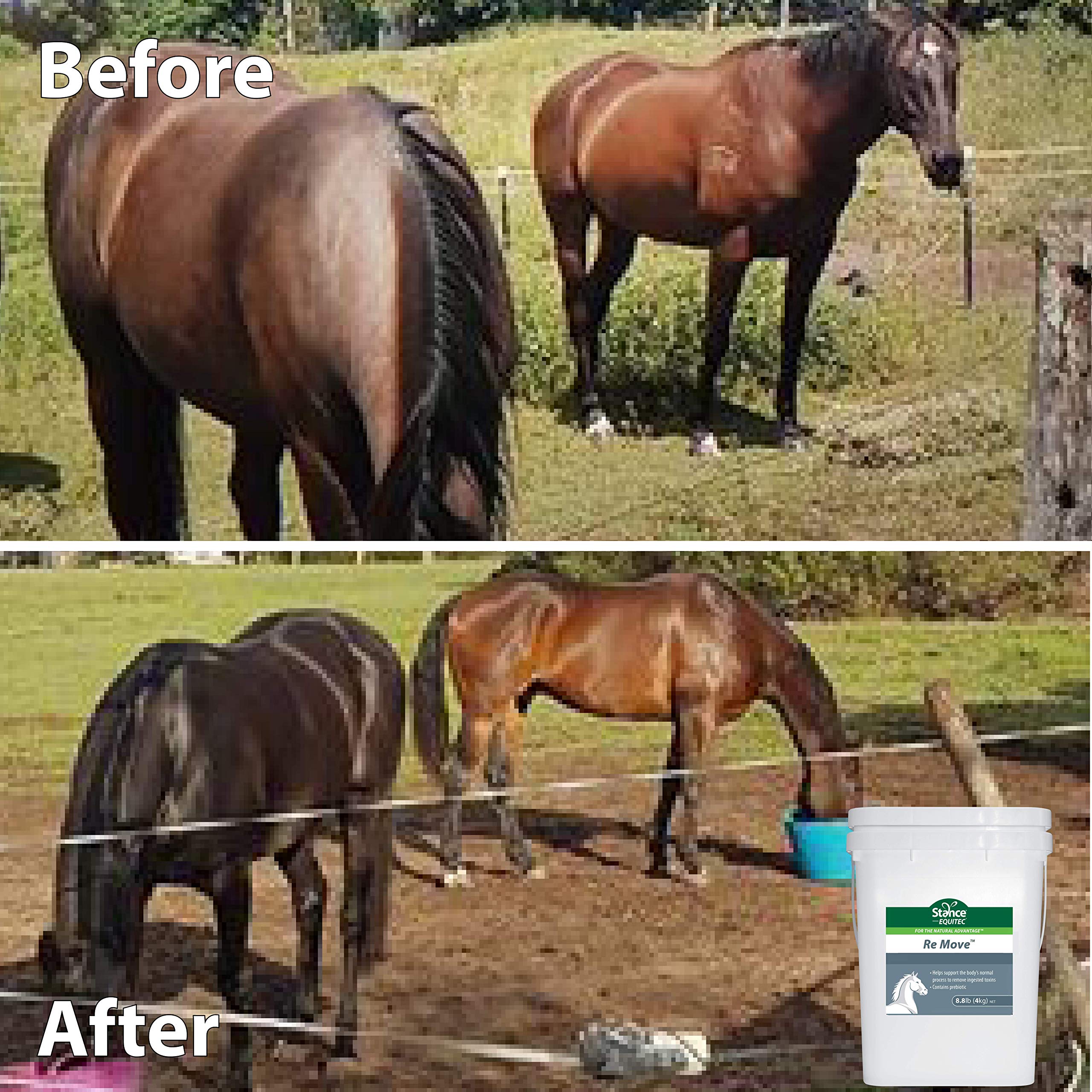Stance Equitec Re Move - Horse Supplements That Support The Body's Normal Process to Remove Ingested Toxins, Contains Probiotics - 8.8 lb