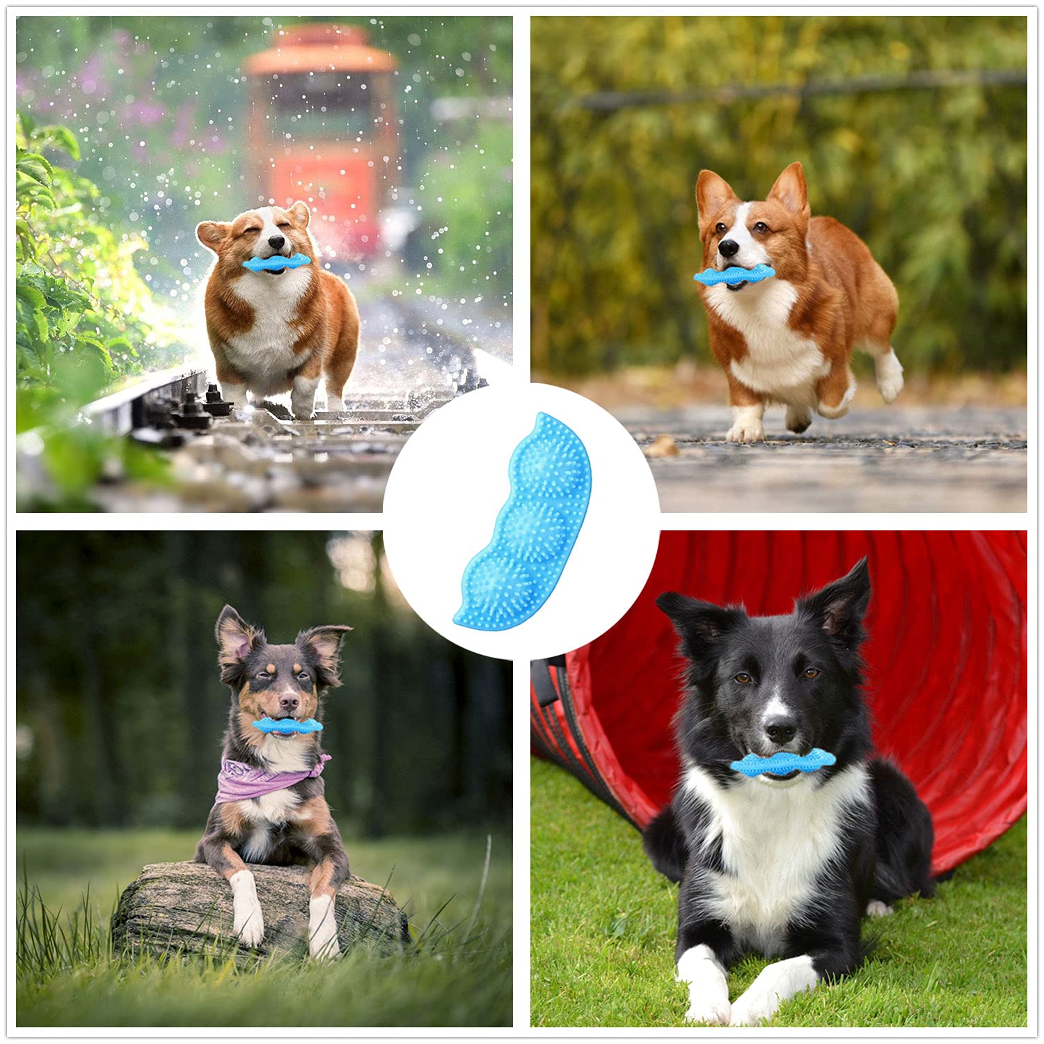 TAOLIN QING 3-Pack Puppy Chew Toy, Suitable for Dogs Born 2-8 Months Old, Relieve Pain During Tooth Replacement, Clean Teeth, Natural Rubber Products, Safe, Healthy, Durable, Easy to Clean