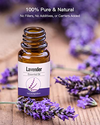 MORENTO YH1800 Room Air Purifiers for Bedroom with Lavender Essential Oil