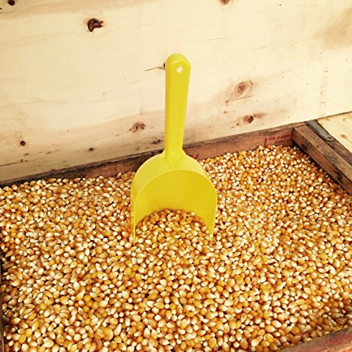 Paragon Bulk Bag Yellow PopCorn (12.5-Pounds)