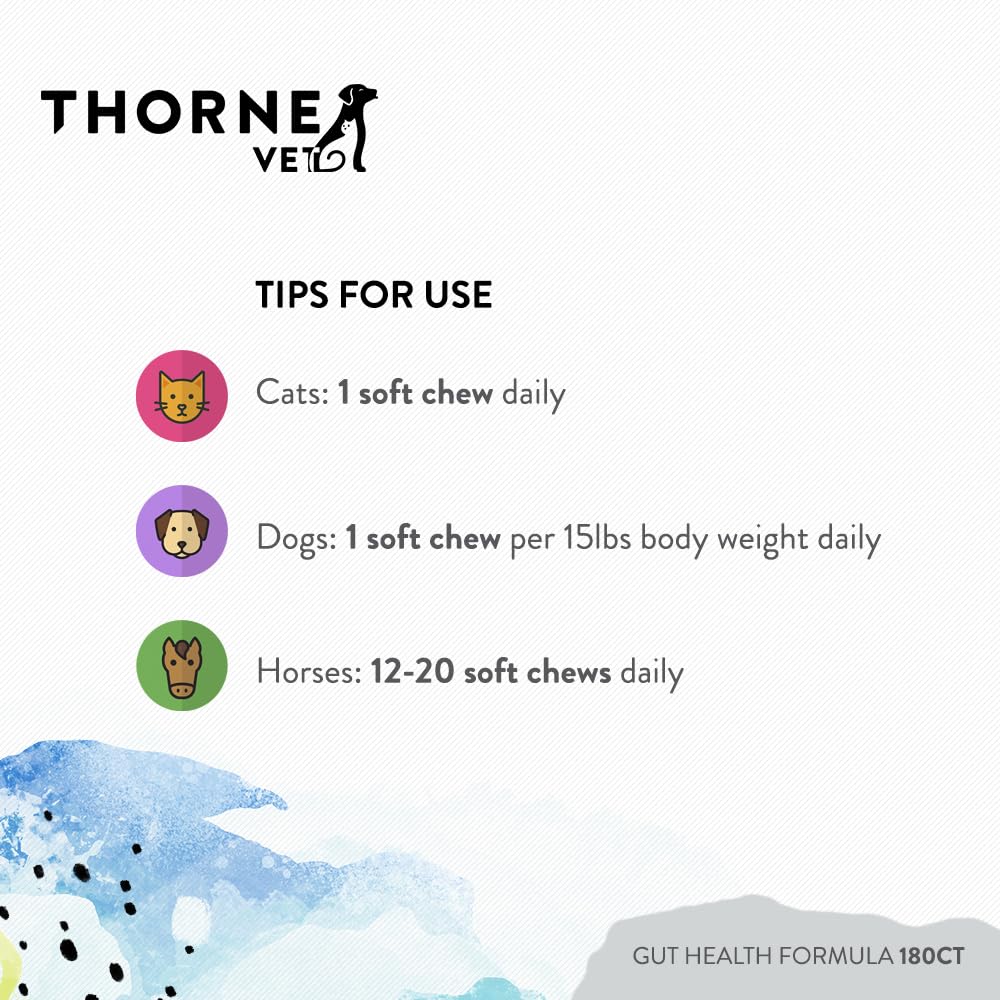 ThorneVet Gut Health Formula – Gastrointestinal Support for Dogs, Cats & Horses, 180 Soft Chews