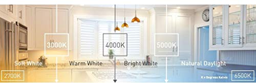 Ecosmart Bright White LED BR30 Dimmable Flood Bulb, 65W Replacement, 9 Watt, 655 Lumens - 3000K - Indoor/Outdoor Rated (6-Pack)