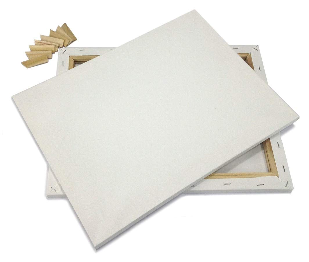 EDM Lot 2 Artist Canvas 8x10 Blank Pre-Stretched Framed Cotton Double Gesso