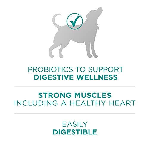 Purina One Plus Digestive Health Formula Dry Dog Food Natural with Added Vitamins, Minerals and Nutrients - 16.5 Lb. Bag