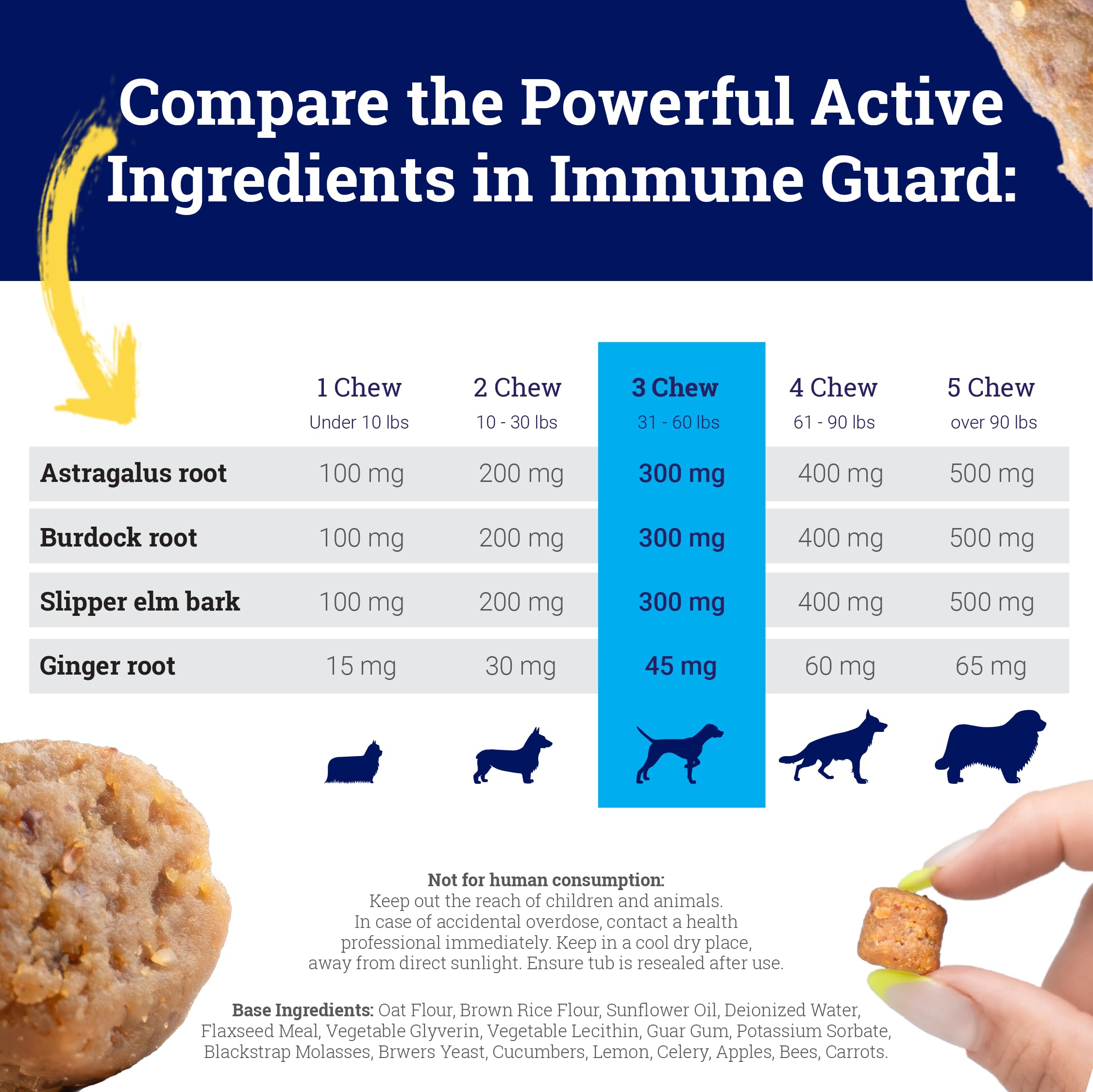 PetHeal Cancer Care - Advanced Support for Dogs with Cancer - Mushroom-Based Formula - APRX. 55 Chews - Peanut Butter Flavor