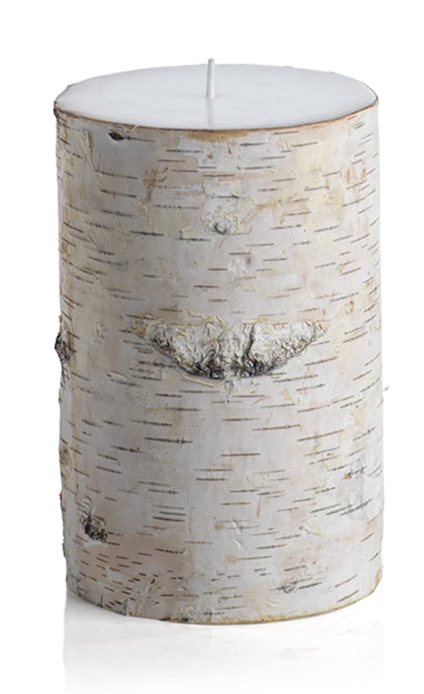 Zodax | Light Birchwood | Pillar Candle | Fragrance Free | 4 in x 6 in