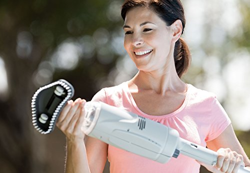 Intex Handheld Rechargeable Vacuum with Telescoping Aluminum Shaft and Two Interchangeable Brush Heads , Gray/Black