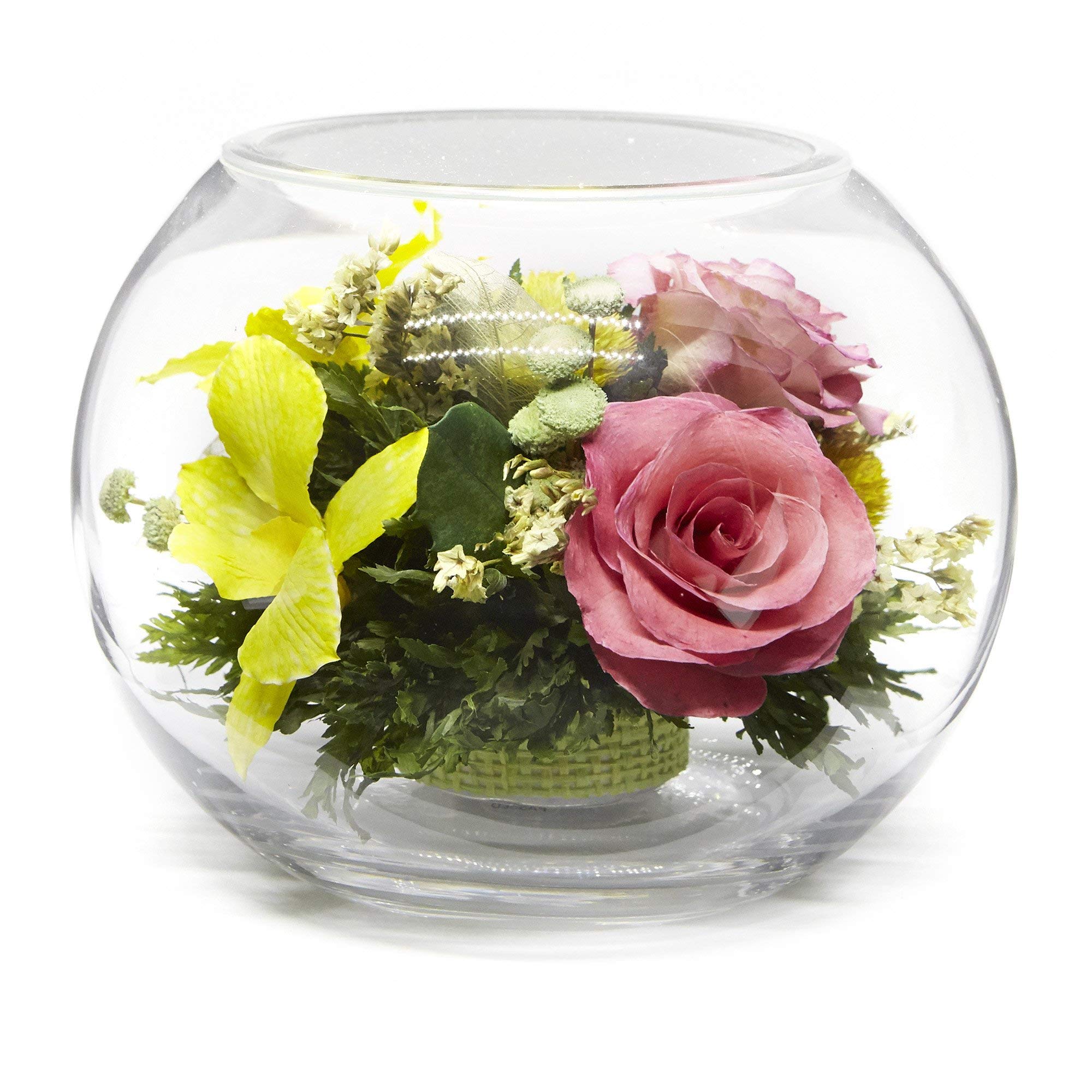 Fiora Flower | Long Lasting Real Roses and Orchids | Lasts up to 5 Years | Anniversary Floral Arrangement