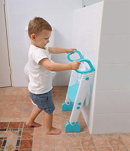 Dreambaby Step-Up Potty Training Toilet Topper - 2-Level Adjustable - Aqua-Model G6015, Aqua/White, 1 Count (Pack of 1)
