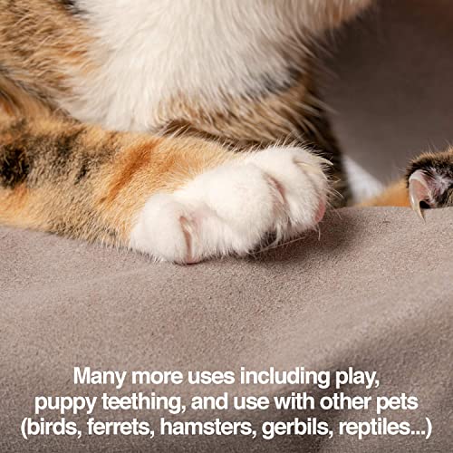 PetFusion Multipurpose Pet Glove for Grooming, Trips to Vet, Handling. [Puncture & Scratch Resistant, Water Resistant]. 12 Month Warranty for Manufacturer Defects Grey