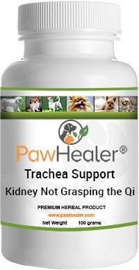 PawHealer Breathing Problems - Trachea Support: Kidney Not Grasping The Qi Formula - Herbal Remedy for Dogs with Breathing/Wheezing Difficulties - Premium-Grade Herbs
