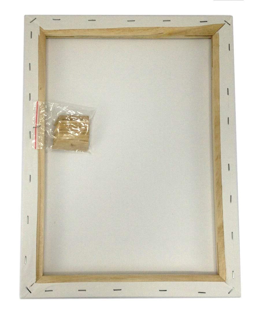 EDM Lot 2 Artist Canvas 8x10 Blank Pre-Stretched Framed Cotton Double Gesso
