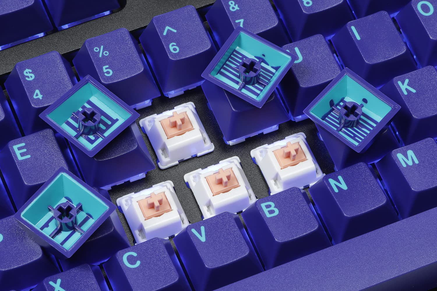DROP + Invyr Holy Panda Mechanical Keyboard Switches - Plate Mounted Tactile Switches, Cherry MX Style, 67g Spring, by Kailh (70 PCS)
