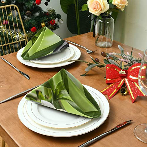 Pfrewn Spa Zen Basalt Stones Cloth Napkins Set of 4 Bamboo Frangipani Flower Dinner Napkins Solid Washable Reusable Polyester Table Napkins Oversized 20"X20" with Hemmed Edges for Home Weeding Decora