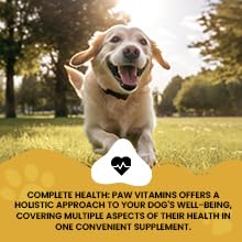 Premium Glucosamine for Dogs (Made in The USA) - Hip & Joint Health Soft Chews with Chondroitin & MSM - Functional Dog Supplement for Mobility Support with Kelp + Vitamins C and E - 90 Count