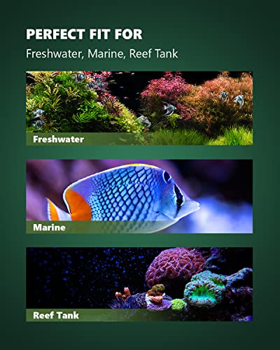 STAYGROW Arctic Series DC-6500 Aquarium Water Pumps, DC 24V 48W 1717 GPH (6500 L/H), Sine Wave Silent Powerful Controllable Submersible or External Return Pump for Fresh/Saltwater/Marine Tank Green