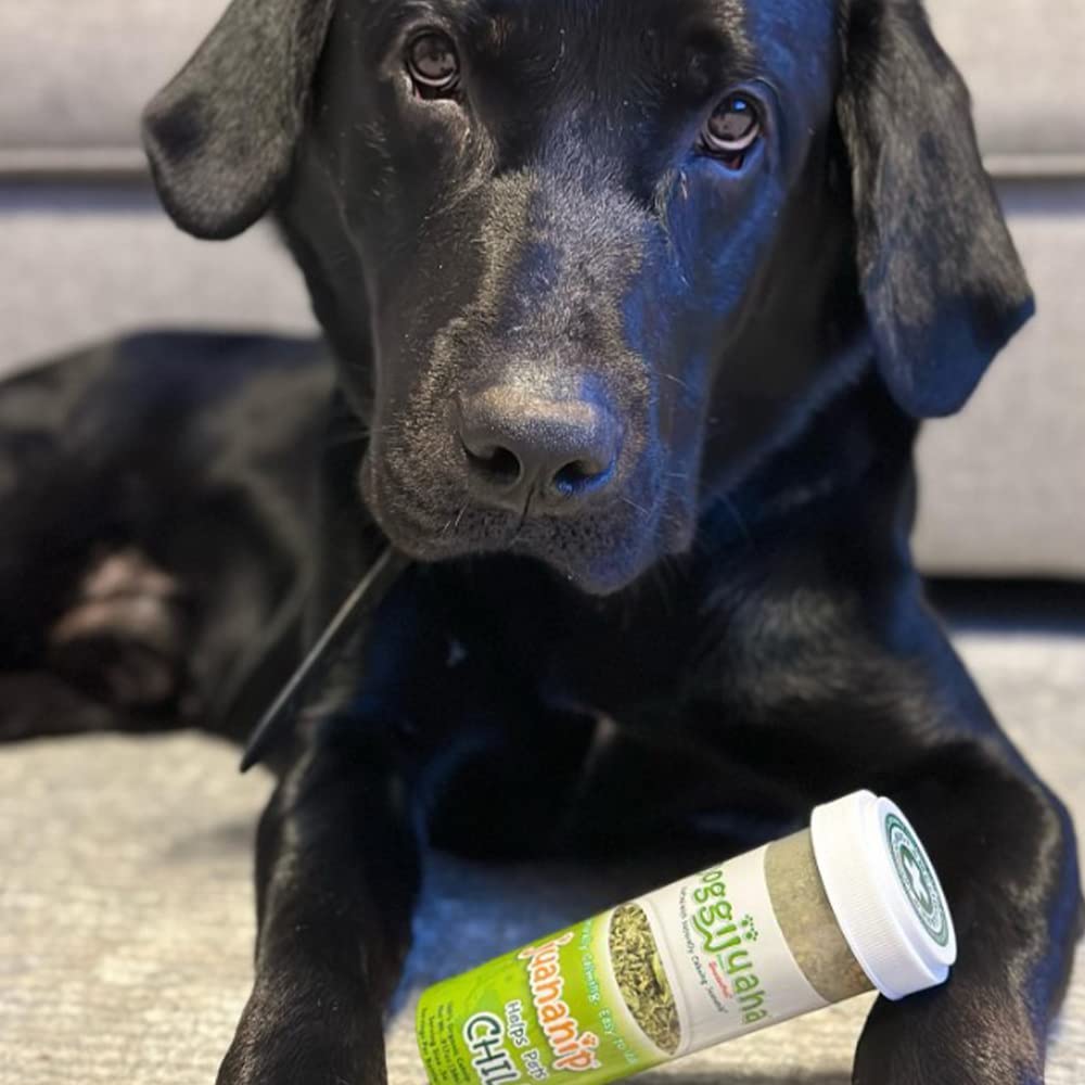 Doggijuana | Juananip⢠Refill | Premium Organic Ground Catnip for Dogs | All Natural | Grown in The USA (Juananip 2 Pack)