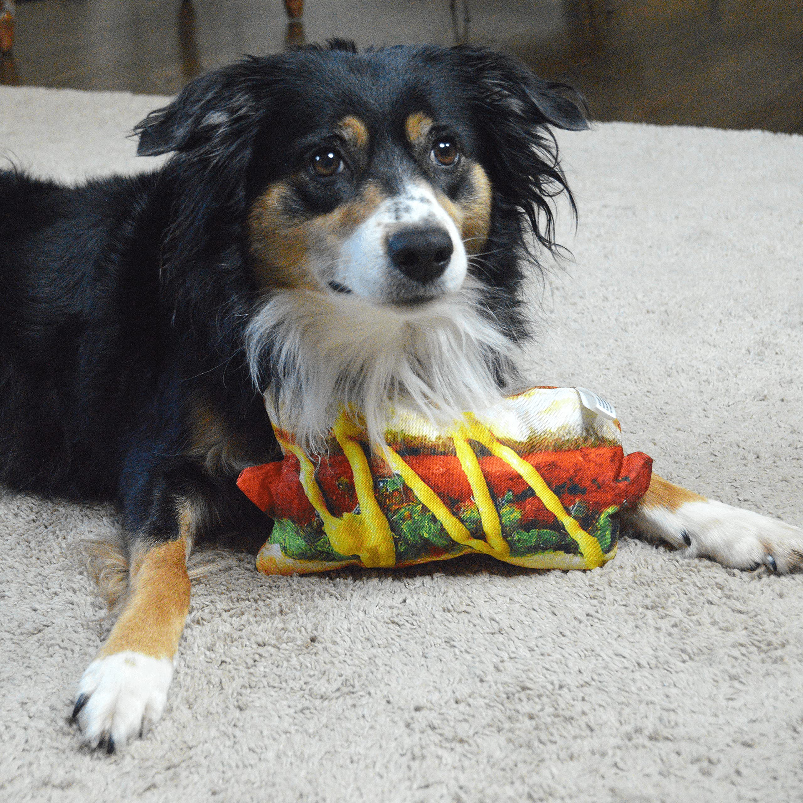 Doggijuana | Refillable Catnip Dog Toy | Naturally Calming | Catnip Grown in The USA (Hot Dog)