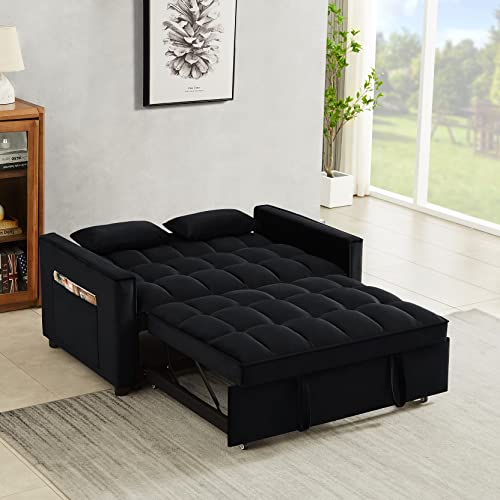 ERYE Black Velvet 2 Pillows