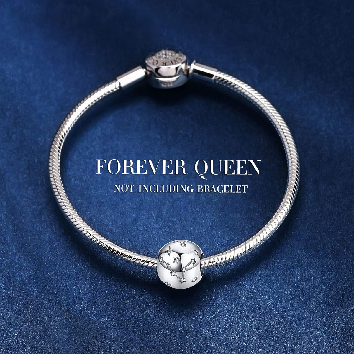 FOREVER QUEEN Pisces Zodiac Star Sign 925 Sterling Silver Bead Charm Fits Bracelets 12 Constellations Charm, Womens Jewellery Gift with Box