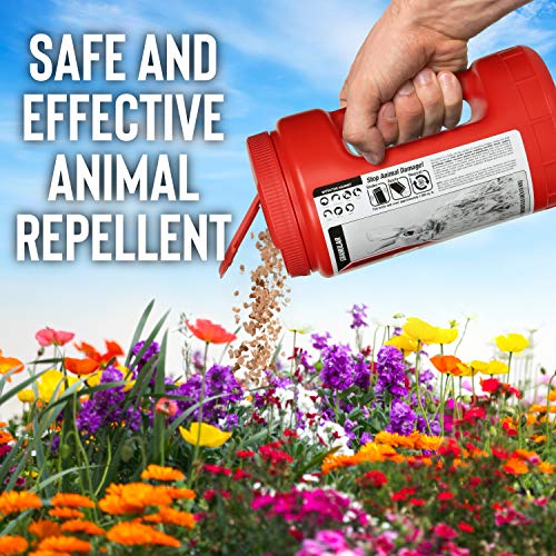 Messina Wildlife Mole & Vole Stopper Granular Repellent - Safe & Effective, All Natural Food Grade Ingredients; Repels Moles and Voles; Ready to Use, 12 lb