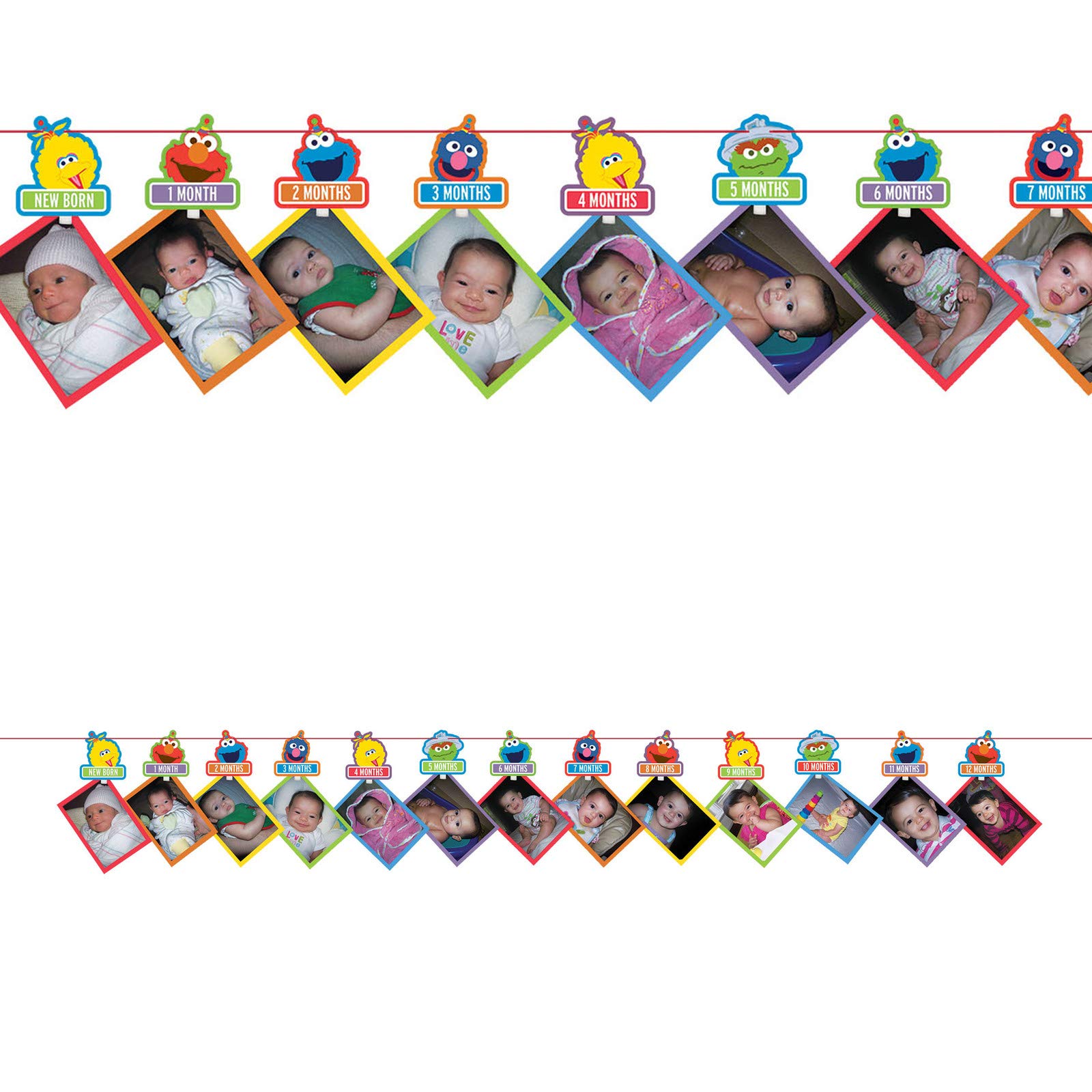 Elmo First Birthday Picture Photo by Month Hanging Garland