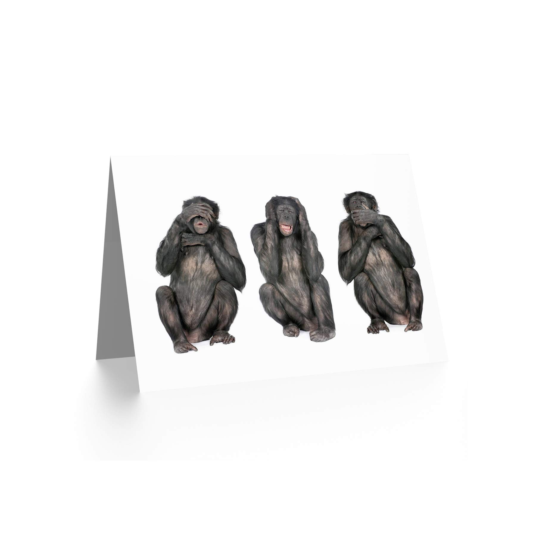 Wee Blue Coo See Hear Speak NO Evil Blank Greetings Birthday Card Art