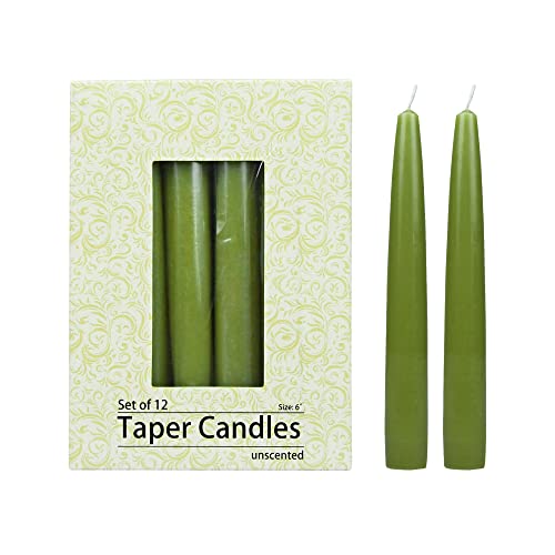 Zest Candle 12-Piece Taper Candles, 6-Inch, Sage Green
