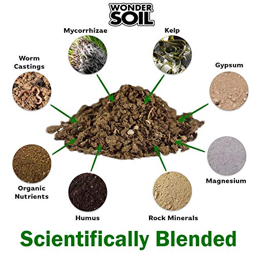 Premium Nutrient Rich Lawn Top Dressing Turf Expanding Coco Coir Mix β 10 LB Covers up to 400 sq. ft. β Grow Thicker Greener Grass in Drought Heat Conditions β Save Water, Seed, & Fertilizer