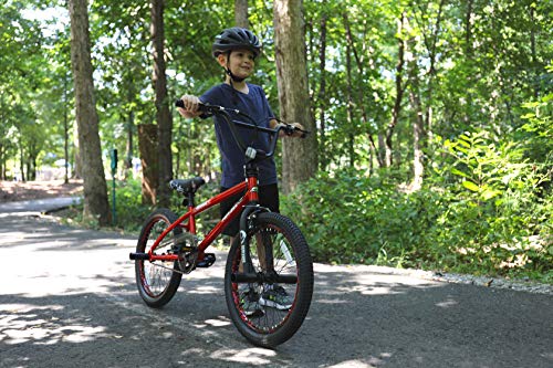 Dynacraft 20" Air Zone Badlands Freestyle BMX Bike