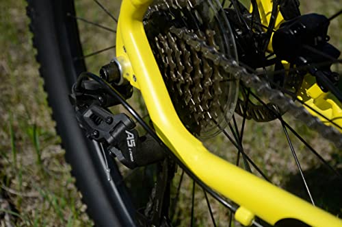 Head Berm 29er Mountain Bike in 3 Sizes