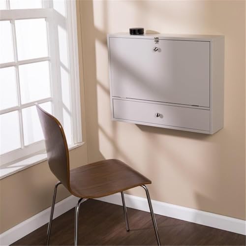 SEI Furniture Benwick Wall Mount Laptop Desk, Gray