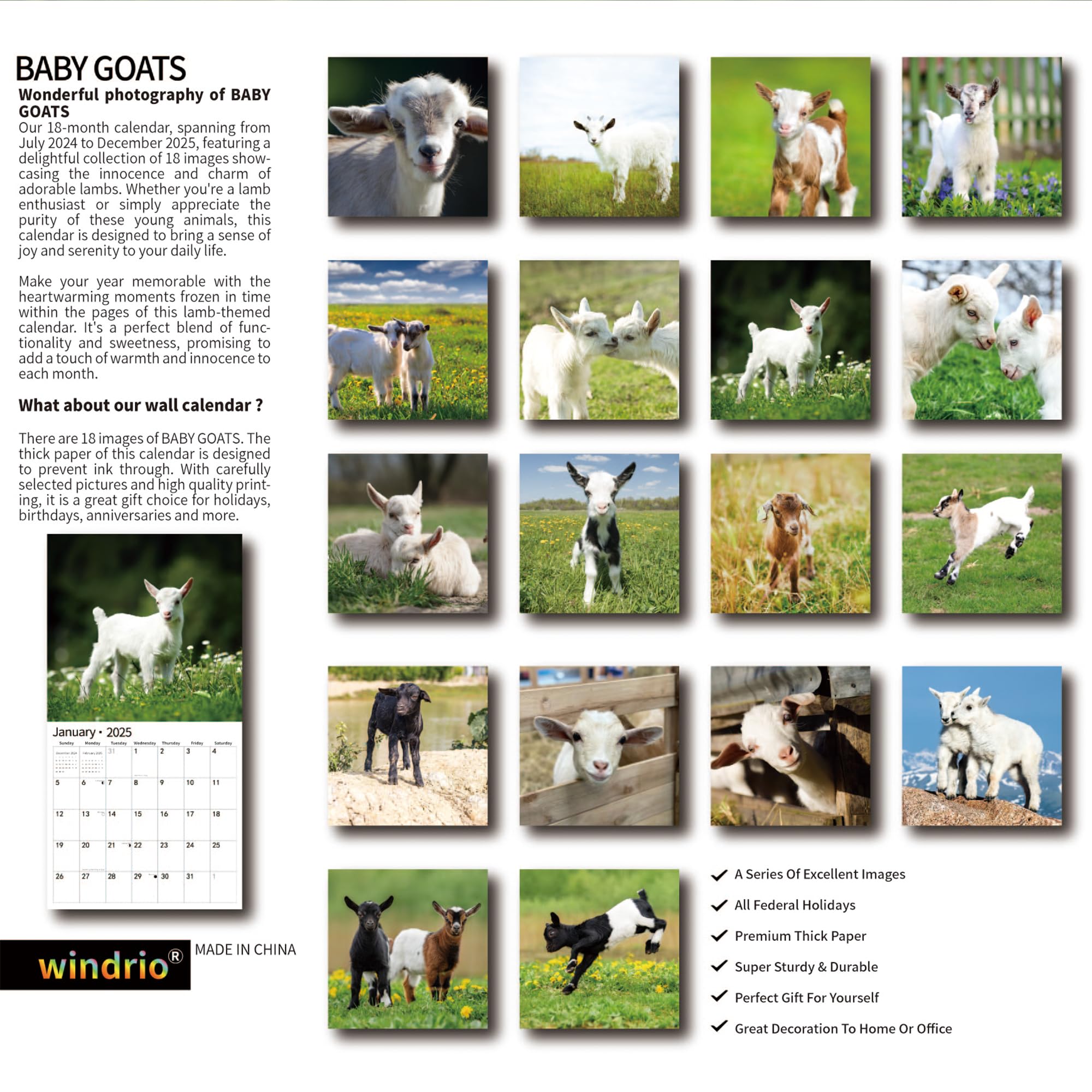 Gag Gift D'ck Pics Nature 2024 Wall Calendar, White Elephants Funny Stone 14 Monthly Calendar 12" x 24" Opened, November 2023 - December 2024,Full Page Thick & Sturdy for Organizing & Planning