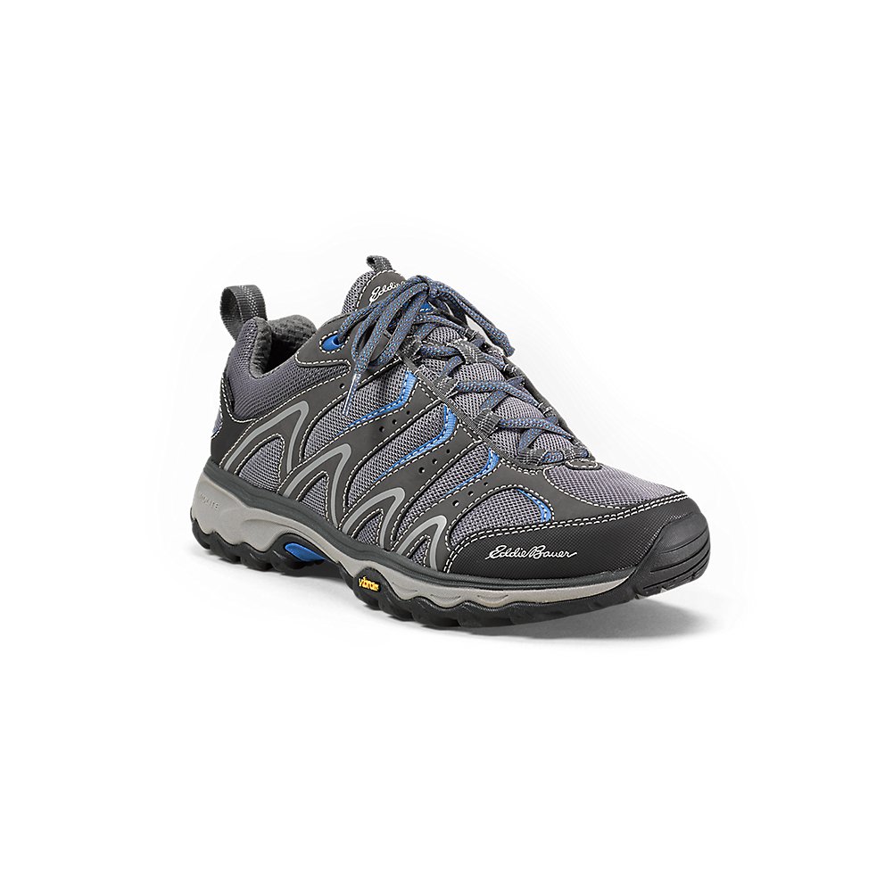 Eddie Bauer Men's Lukla Pro Waterproof Lightweight Hiker, Dk Slate, 10