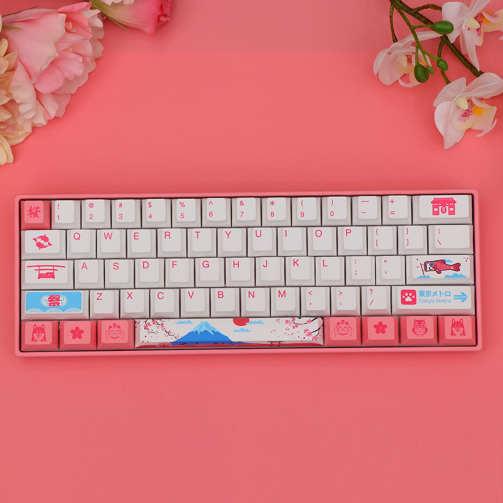 EPOMAKER AKKO 3061S World Tour R2 60% Wired Hotswap Mechanical Gaming Keyboard with RGB Backlight, Dye Sublimation PBT Keycaps, NKRO Programmable for Gamers/Mac/Win (Gateron Pink Switch, 61 Keys)