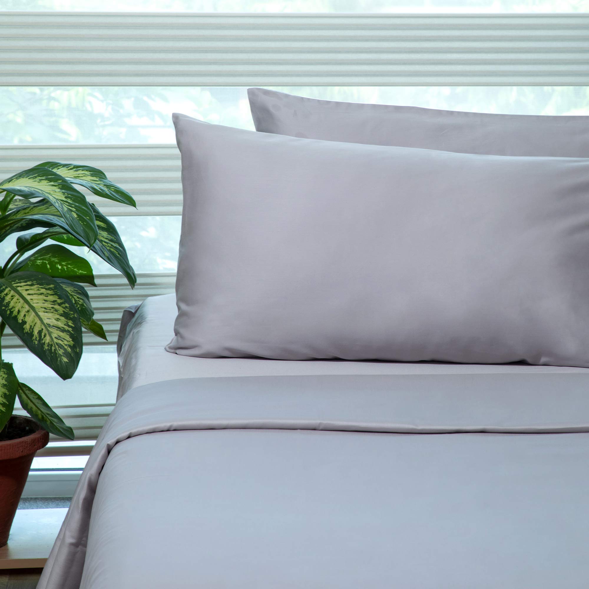 Fabdreams 100% Organic Cotton California King Size Sheet Set | 400 Thread Count Sheet Set | GOTS Certified | Long Staple Cotton | Upto 17" Elasticised Deep Pockets | Soft Silky Shiny | White