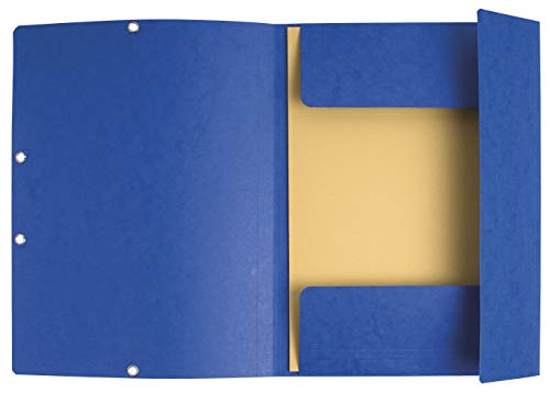 Exacompta 55510AMZE Elasticated Folders with 3 Flaps Glossy Card 10 + 1 Free 24 x 32 cm 400 g 10 Assorted Colours Pack of 11