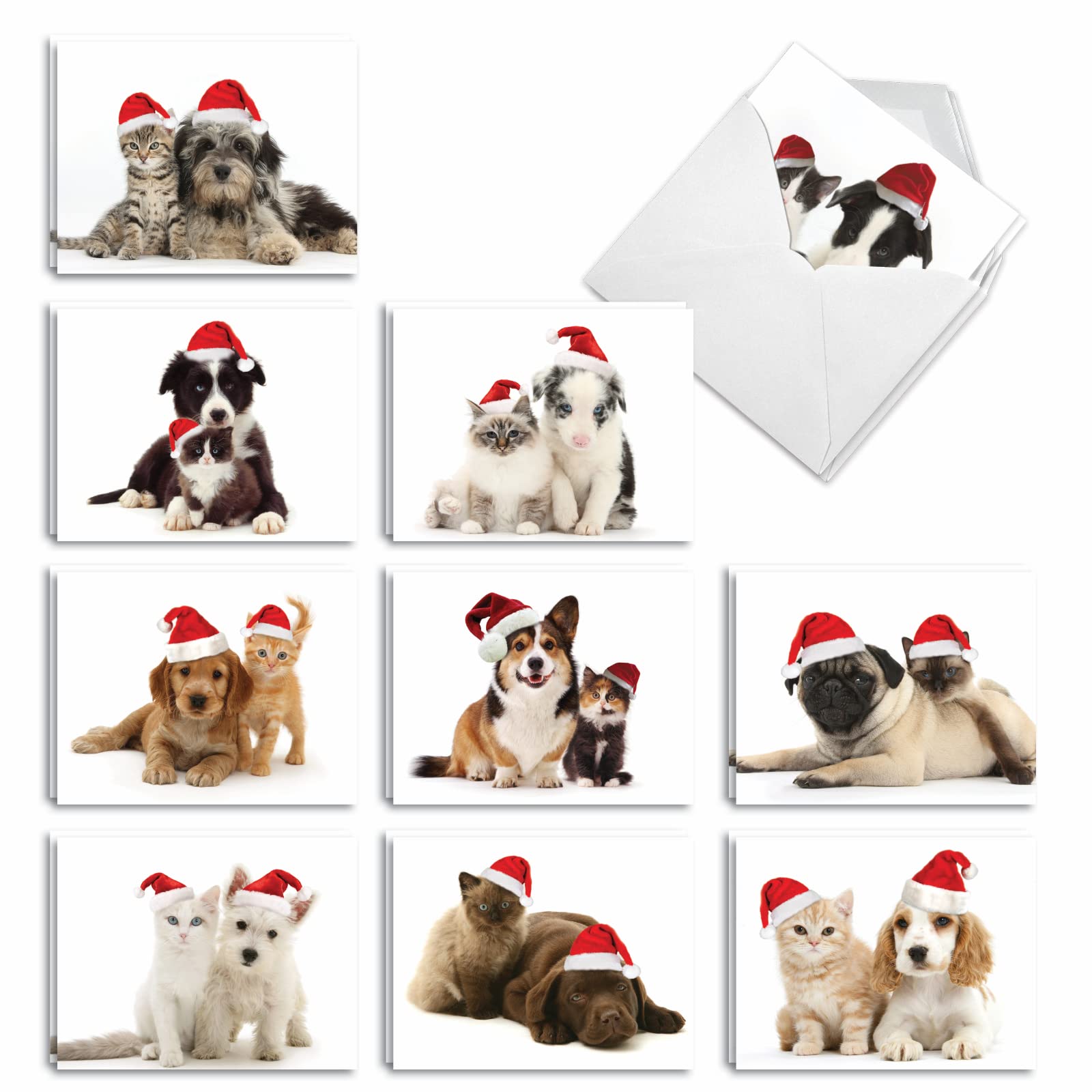 The Best Card Company - 20 Christmas Thank You Cards Boxed (10 Designs, 2 Each) - Assorted Gratitude Cards (4 x 5.12 Inch) - Christmas Copy Cats AM6596XTG-B2x10