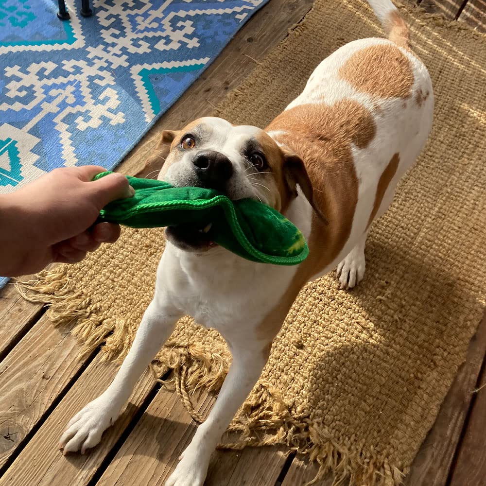 Doggijuana Bundle - Interactive Dog Toy with Juananip Refill - Includes Refillable Durable Catnip Dog Toy & Organic Catnip Refill for Natural Calming - Engaging and Relaxing Pet Play (Pickle)