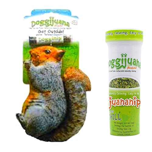 Doggijuana Get Outside Squirrel / Refillable Catnip Dog Toy / Juananip⢠Refill Bottle / Promotes Play and Helps Your Dog Chill
