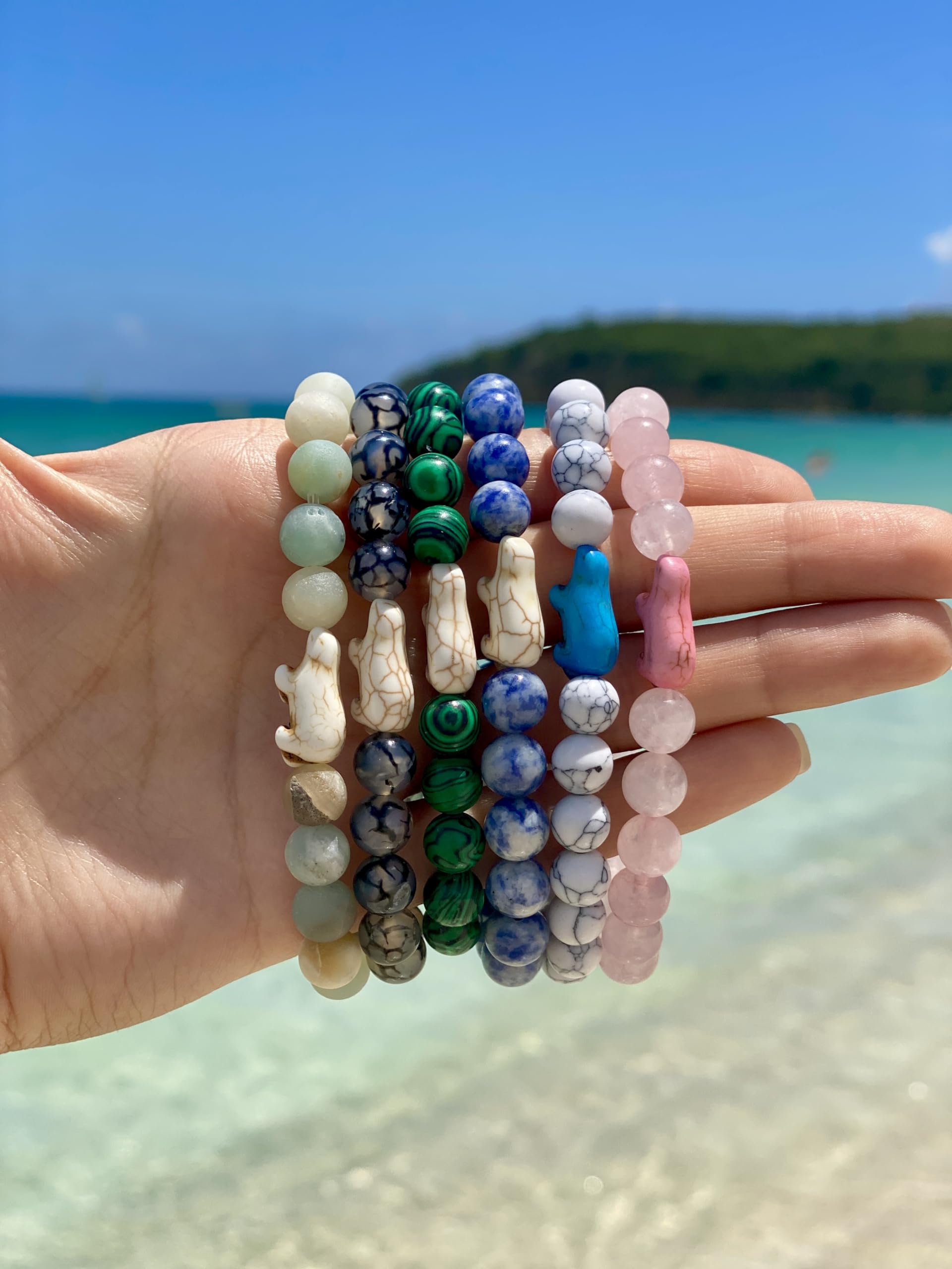 Fahlo Polar Bear Tracking Bracelet, Elastic, supports Polar Bears International, one size fits most for Men and Women