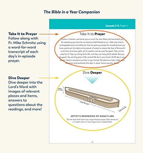 The Bible in a Year Companion, Volume I (Bible in a Year Companion, 1)