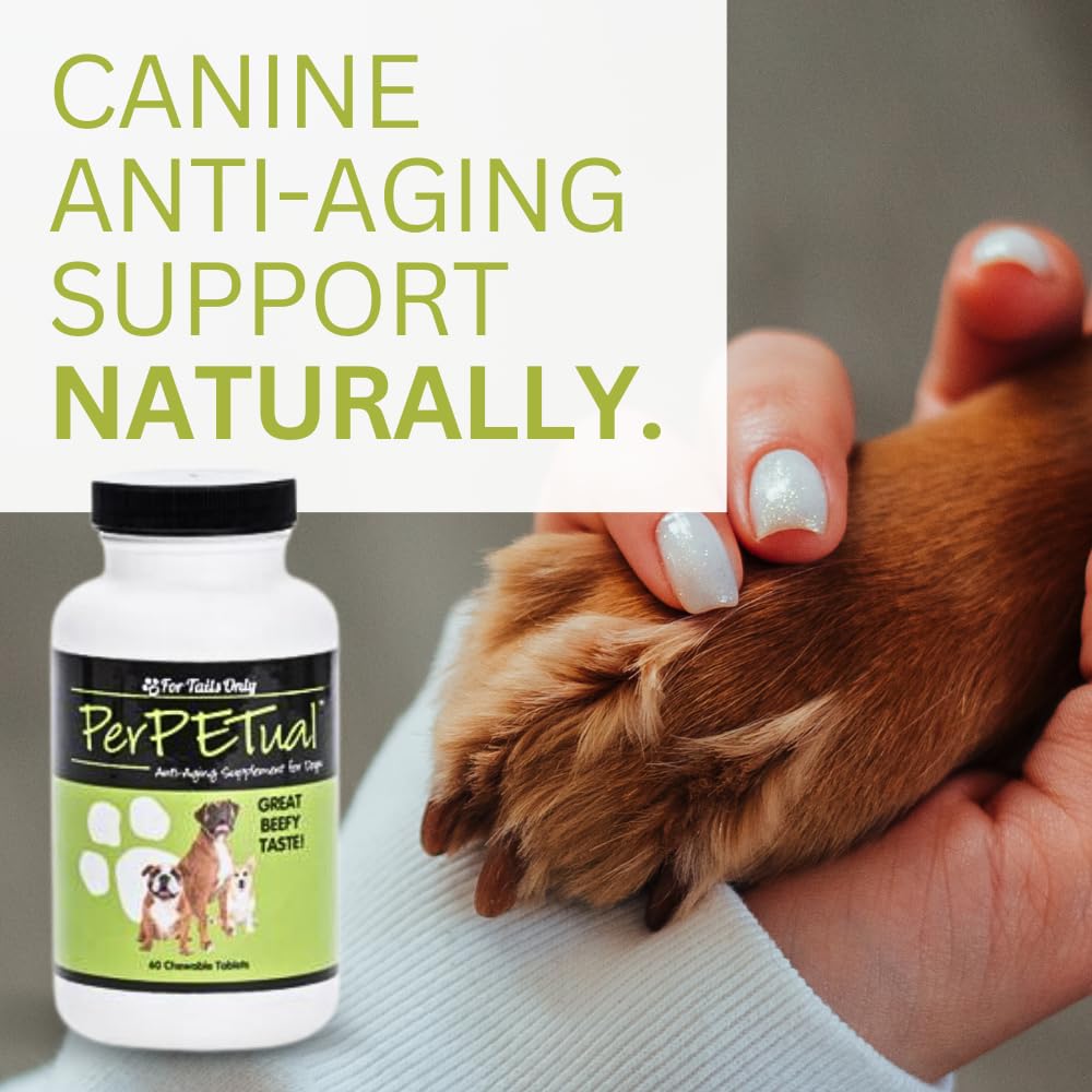 Youngevity Perpetual™ - Maximum Strength Anti-Aging Dog Bone & Joint Support - with Glucosamine, Choline, MSM, Milk Thistle, Calcium, Turmeric & More - 60 Chewable Tablets